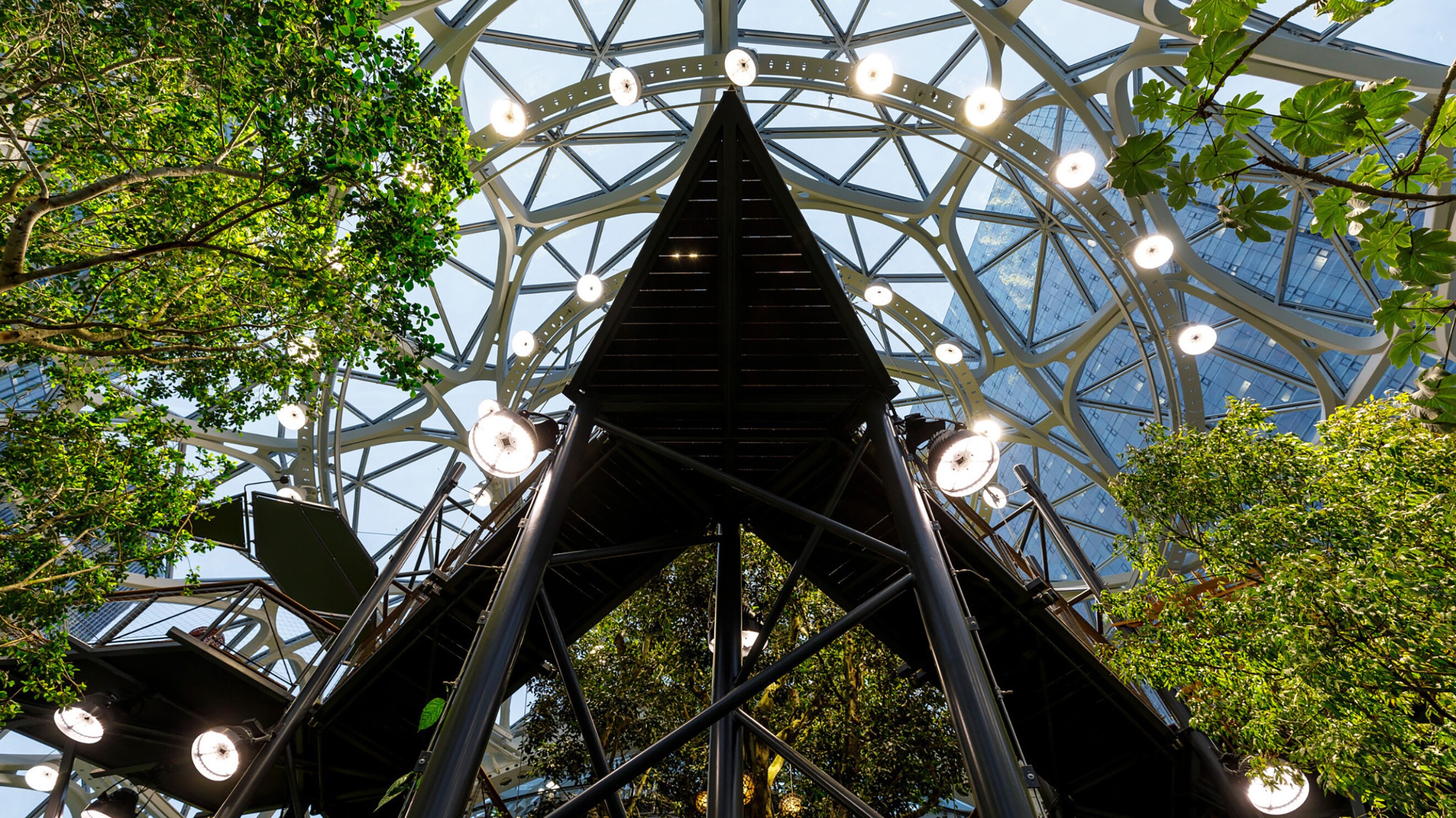 Photos from inside the Amazon Spheres in Seattle