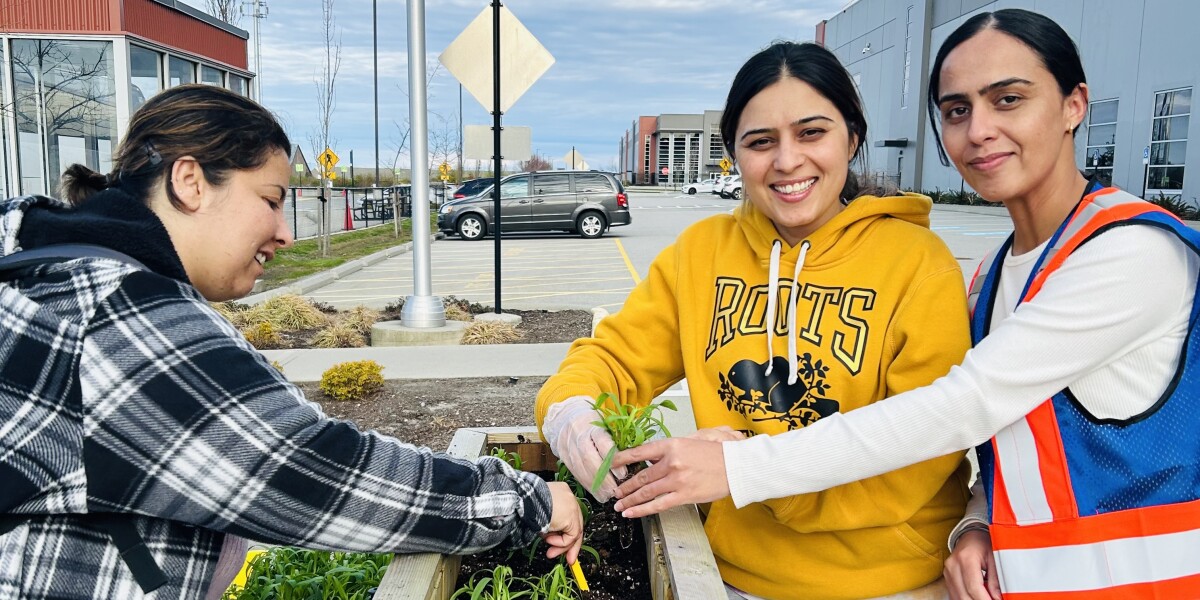 Amazon Employees Give Back During the 2024 Global Month of Volunteering ...