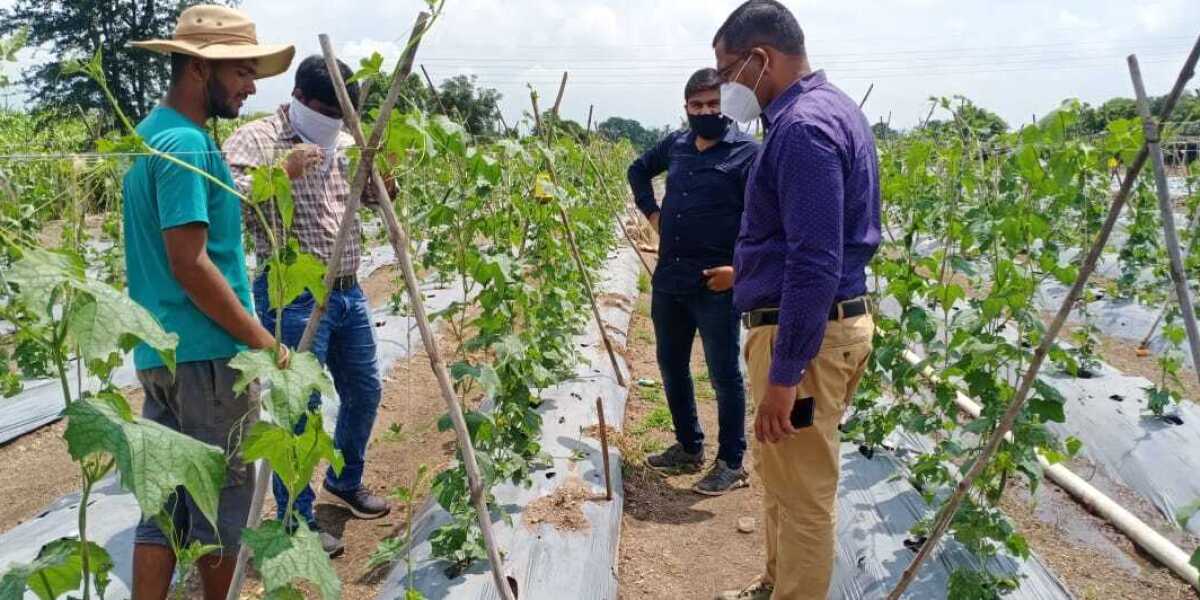 Amazon Retail launches agronomy services to empower farmers - About ...