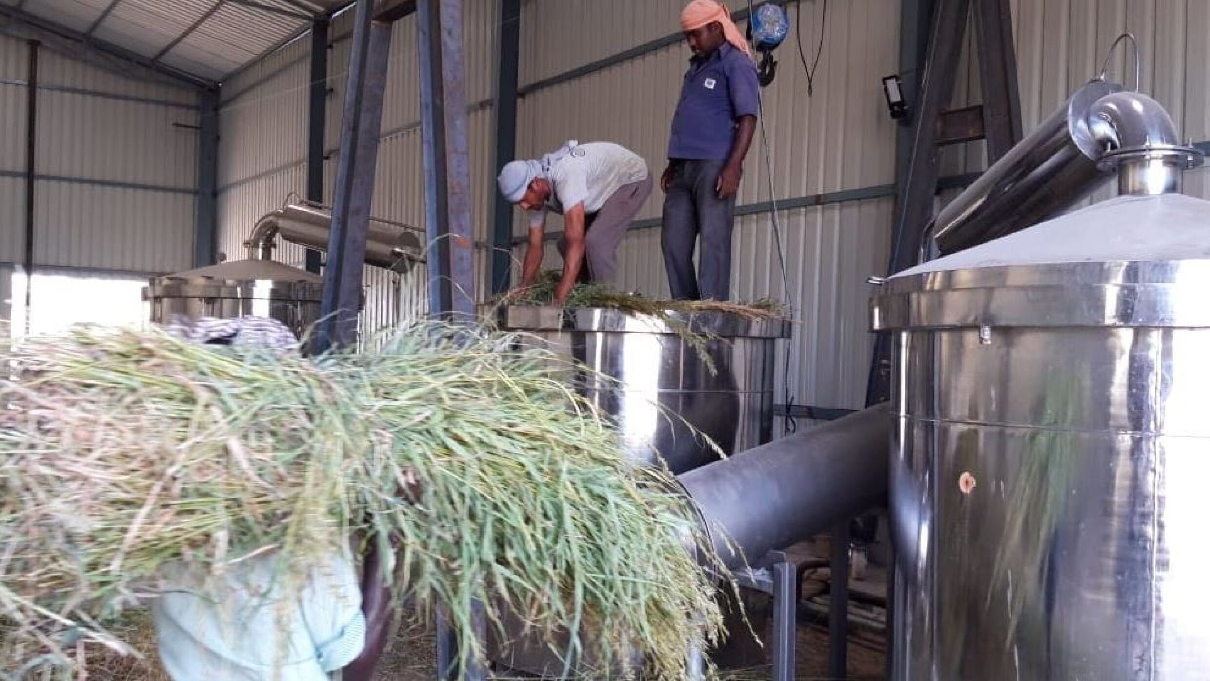 Taking the holistic approach to introduce the 'sutra' of science ...