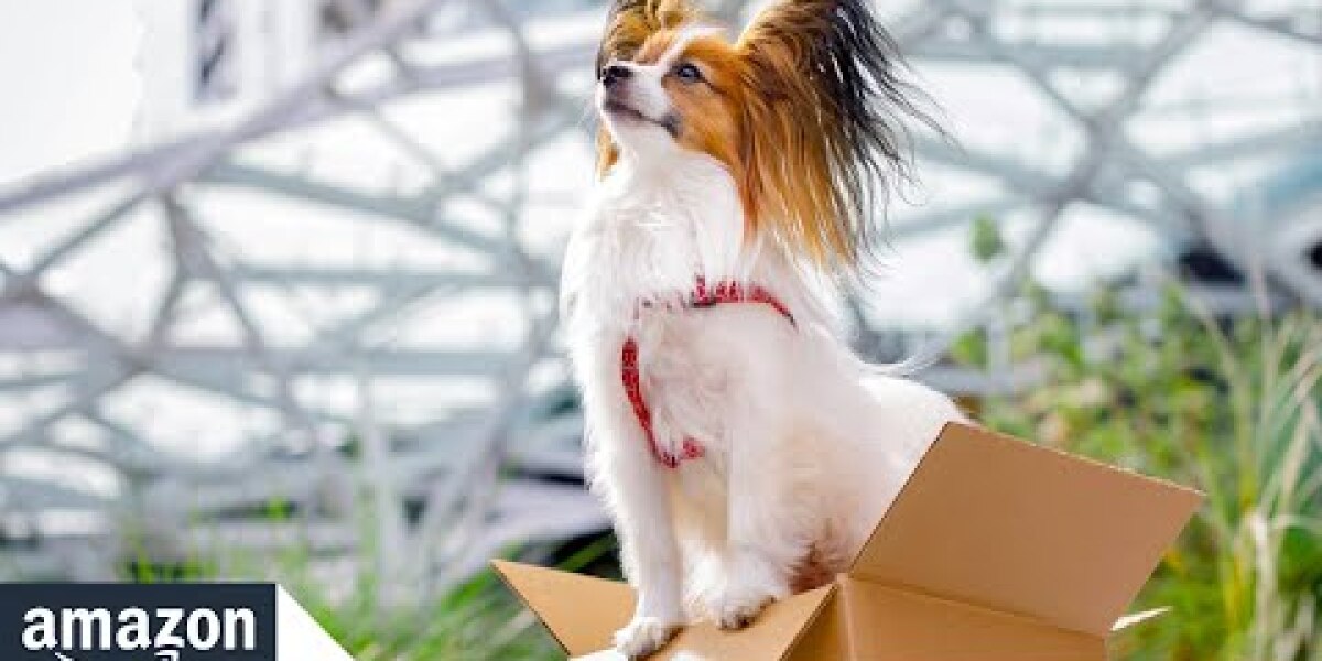 Meet some of the 10,000 dogs that "work" at Amazon